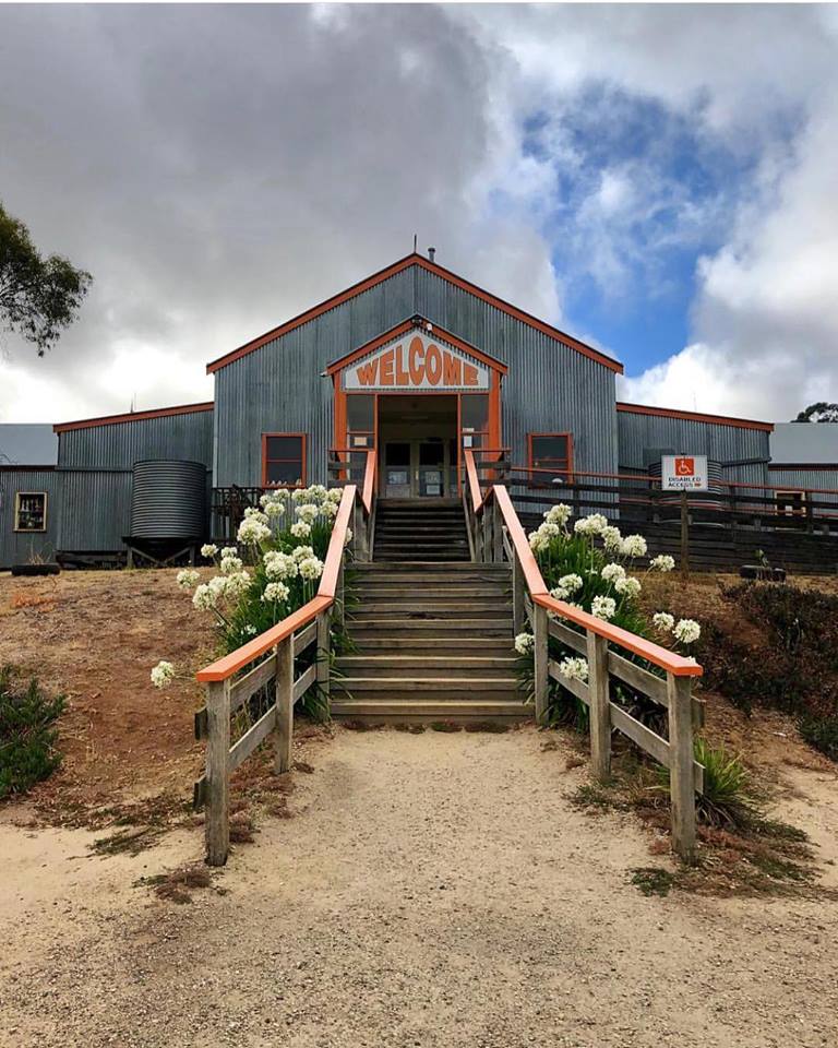 New Ambassador - The Amazing Mill Markets